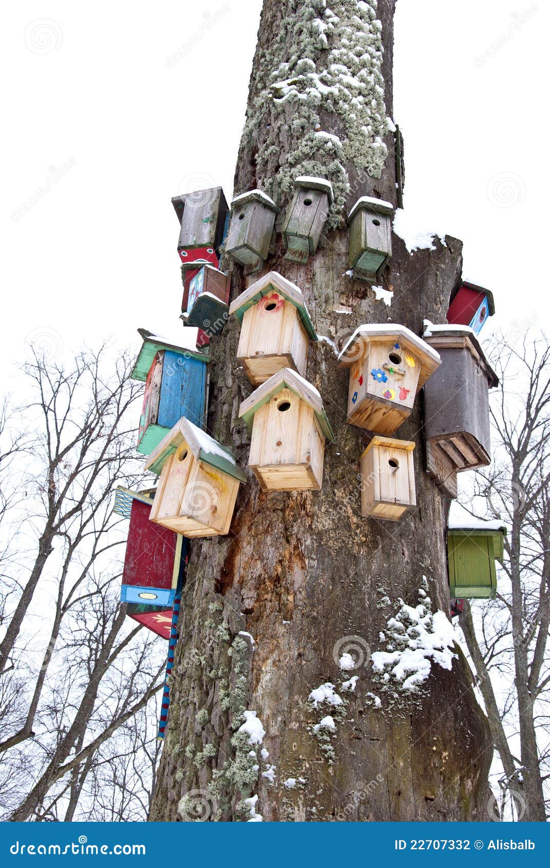 Winter Tree with Birds Nesting-boxes Collection Stock Photo - Image of ...