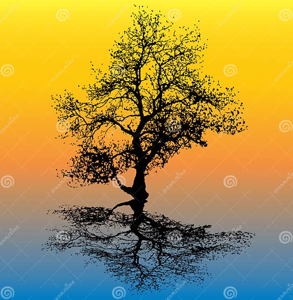 Winter Tree Reflection stock vector. Illustration of sunrise - 7678567