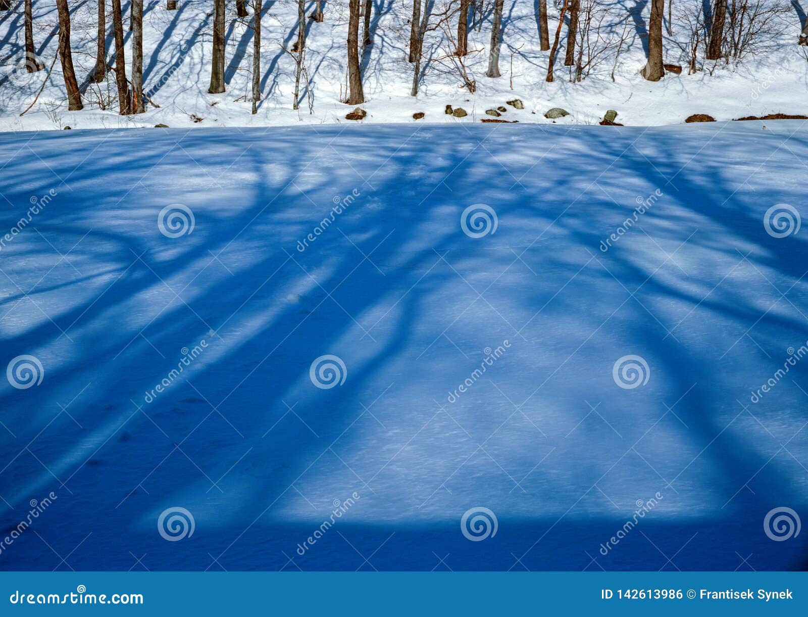 Winter tree shadows stock photo. Image of atmosphere - 142613986