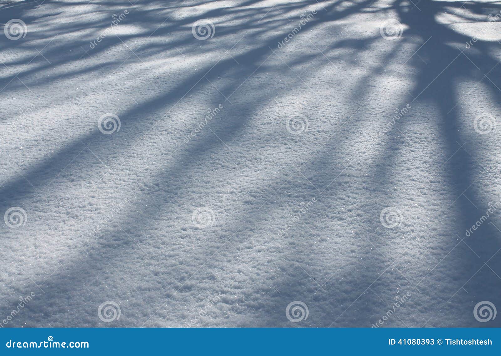Winter Tree Shadows on a Snowy Plain Stock Image - Image of tree, flat ...