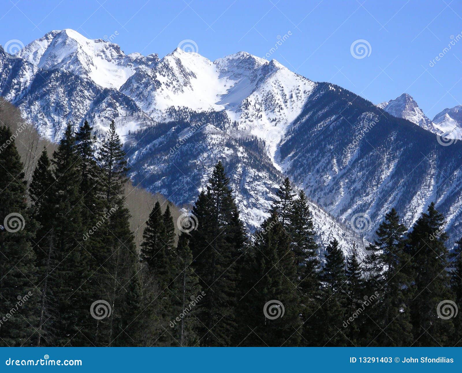 Winter Treeline stock image. Image of range, winter, snow - 13291403