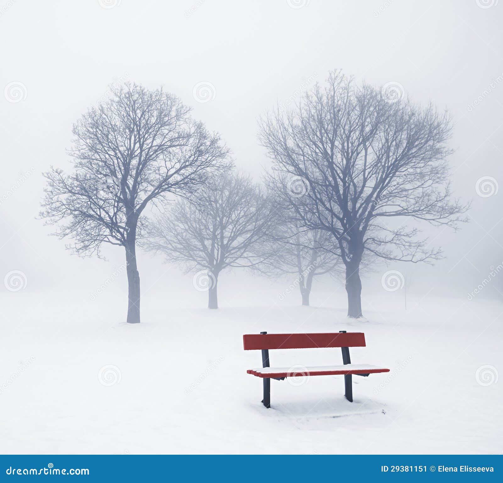 Winter Trees and Bench in Fog Stock Image - Image of mist, scenery ...
