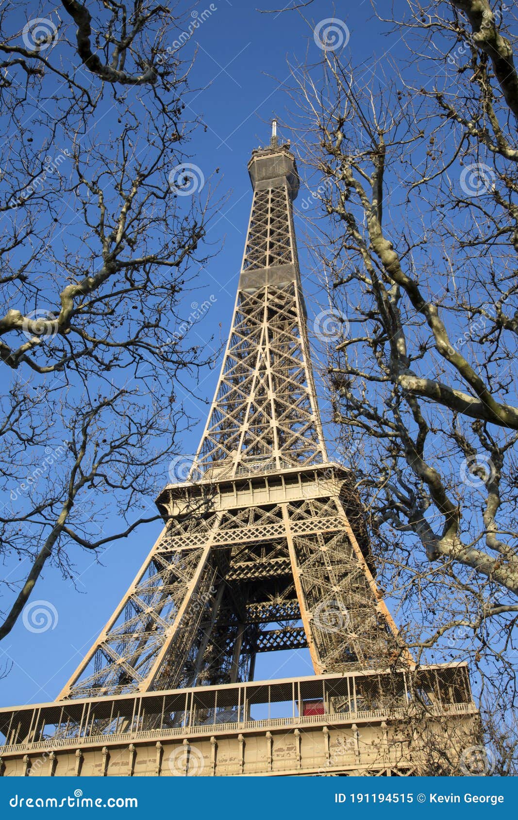 Winter Trees at Eiffel Tower; Paris Stock Image - Image of tourist ...