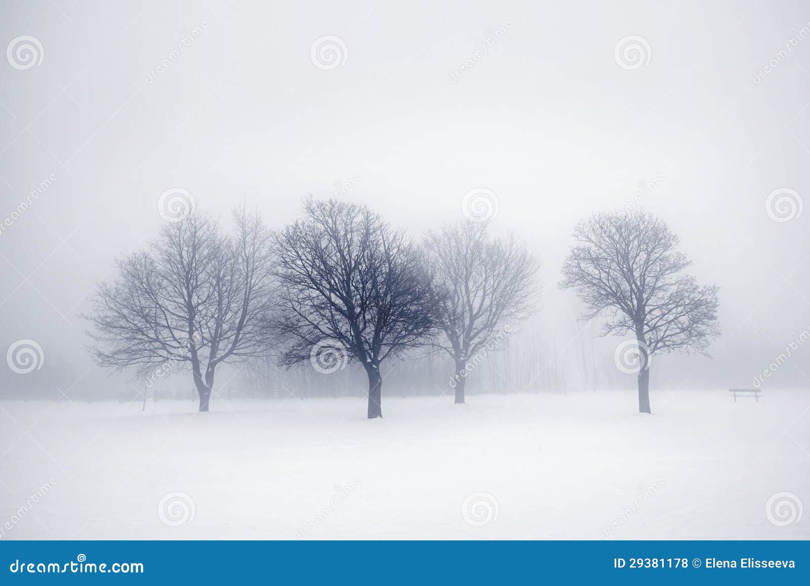 Winter trees in fog stock photo. Image of cloudy, outside - 29381178