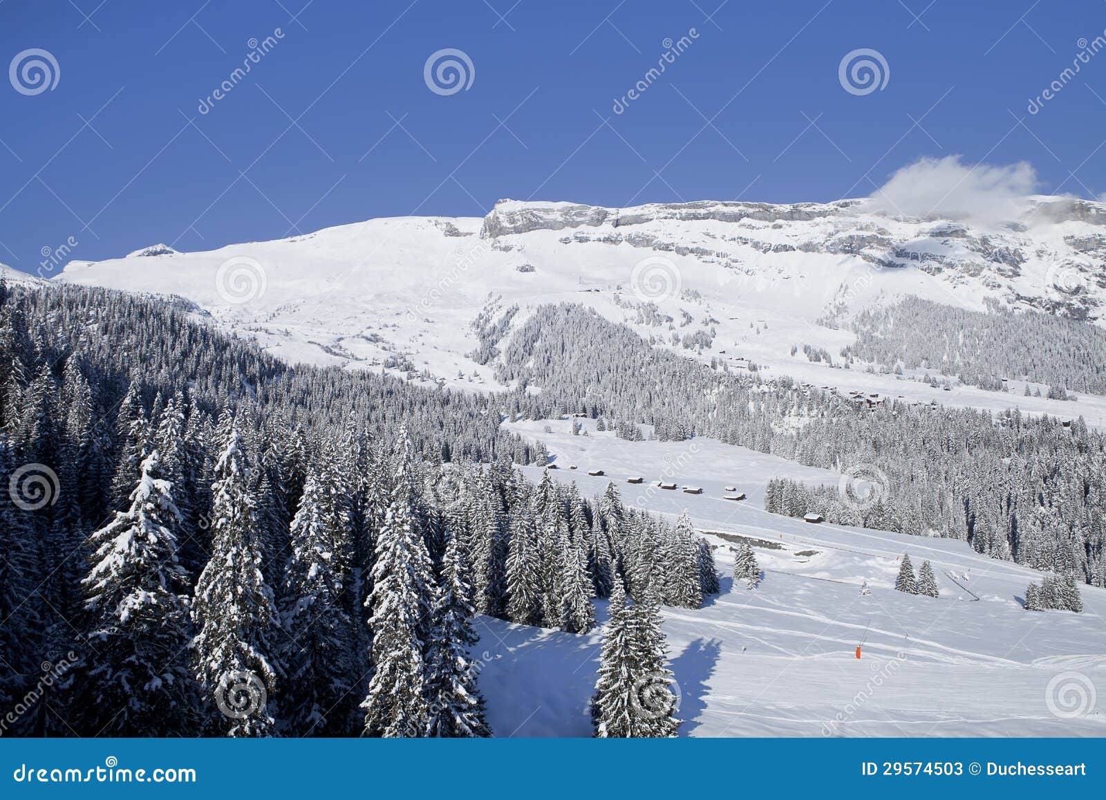 Winter trees in mountains. stock image. Image of pastime - 29574503