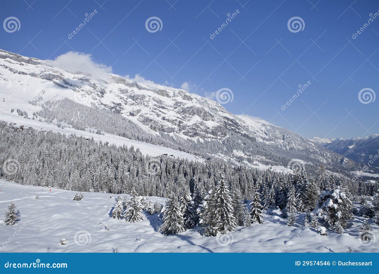 Winter trees in mountains. stock photo. Image of beautiful - 29574546