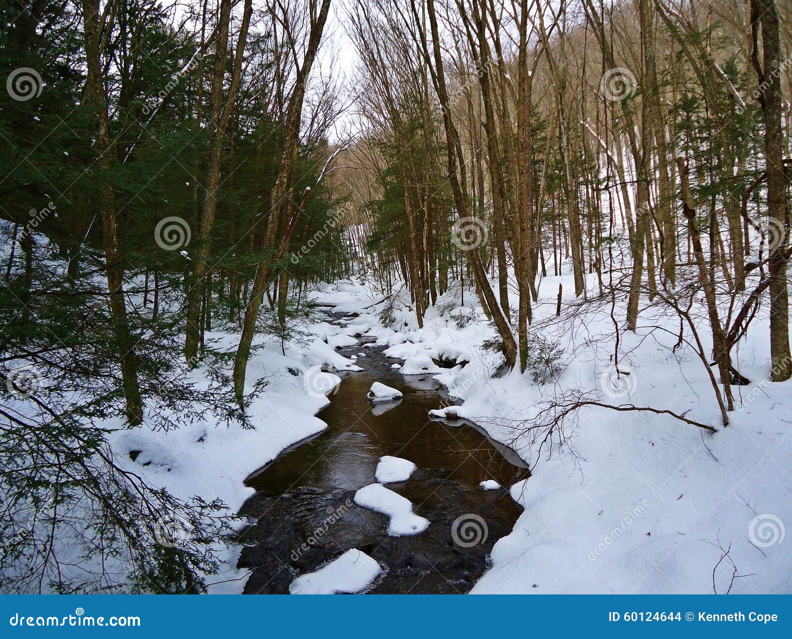 Winter Trout Stream stock photo. Image of cold, fresh - 60124644