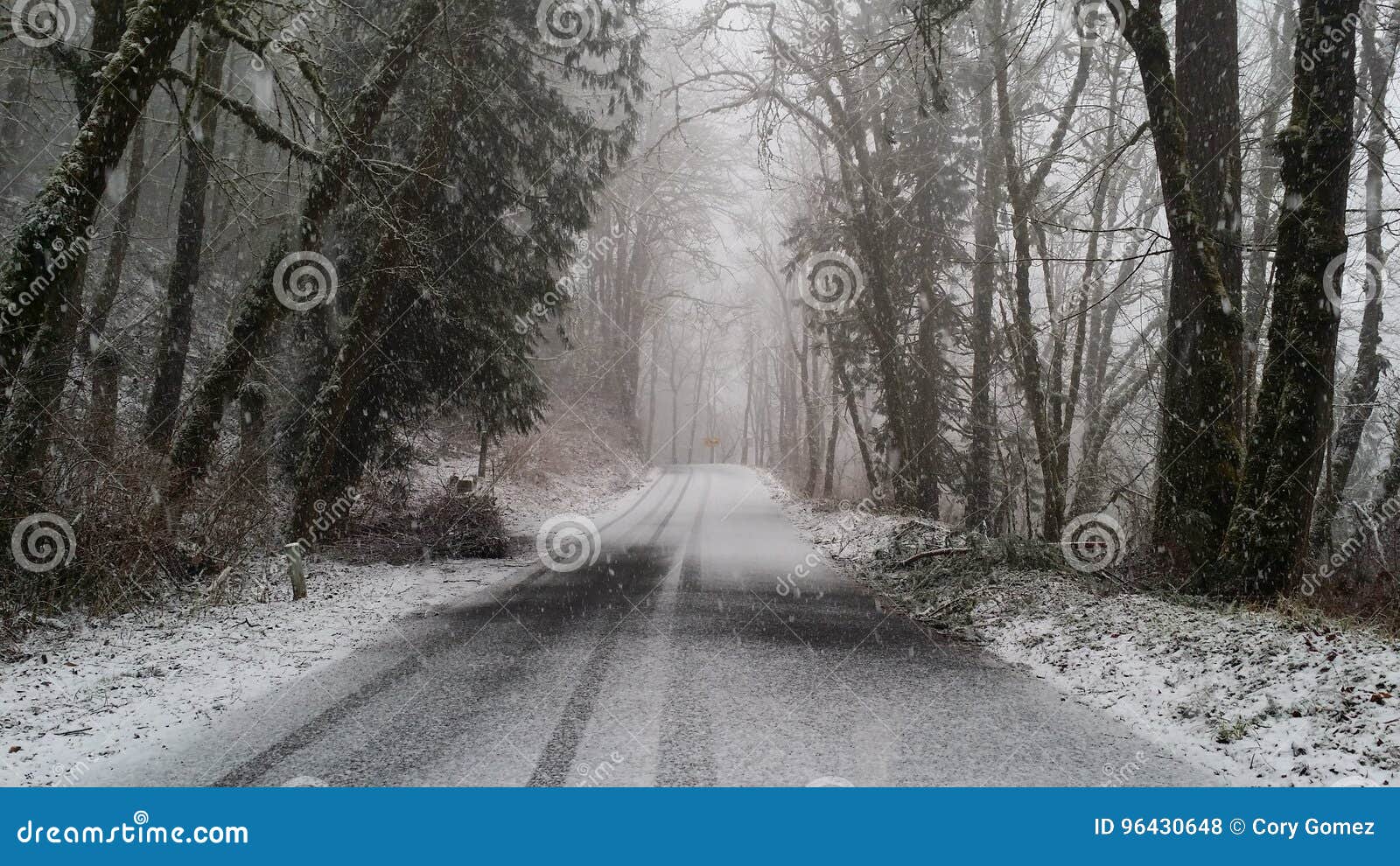 Winter tunnel stock photo. Image of erie, road, back - 96430648