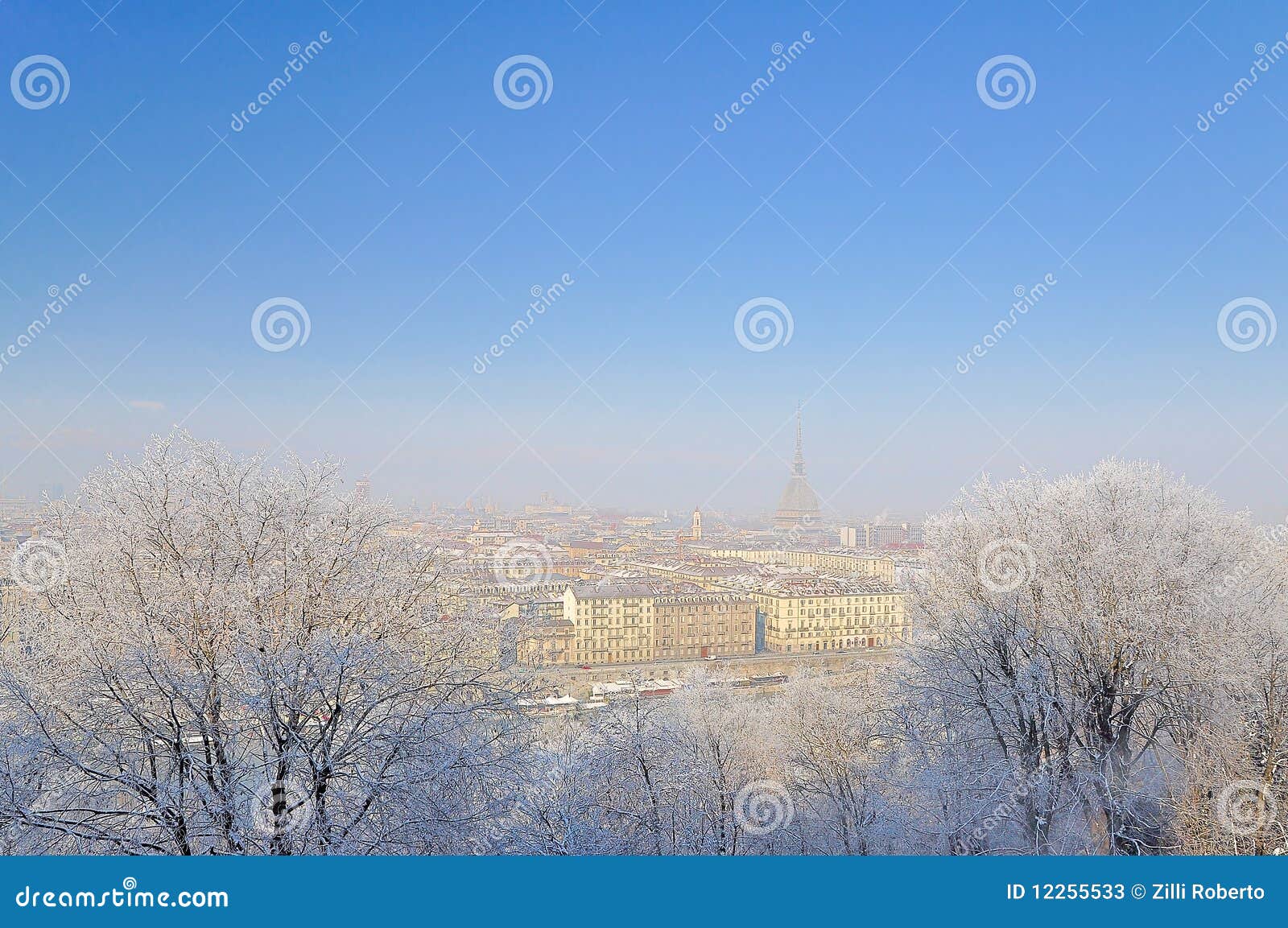 Winter in Turin. editorial stock photo. Image of town - 12255533