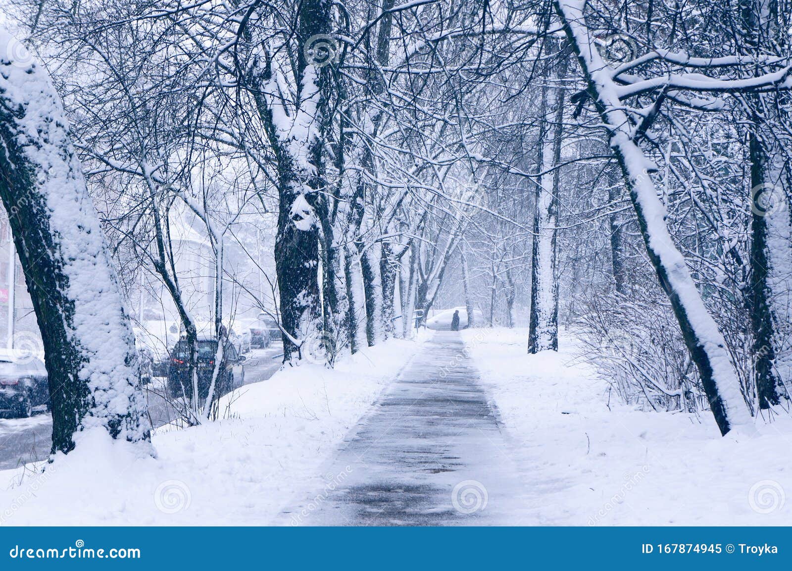 Winter urban scene stock image. Image of snowy, frost - 167874945