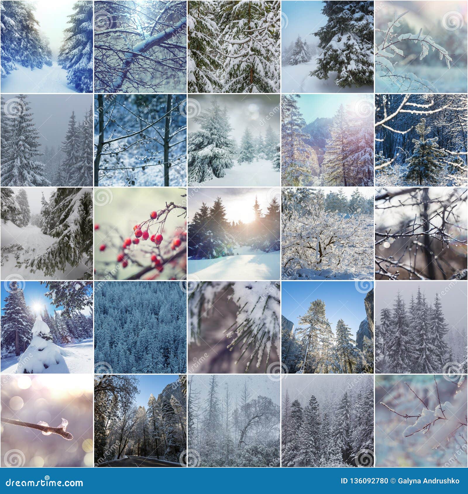 Winter collage stock photo. Image of forest, frosty - 136092780