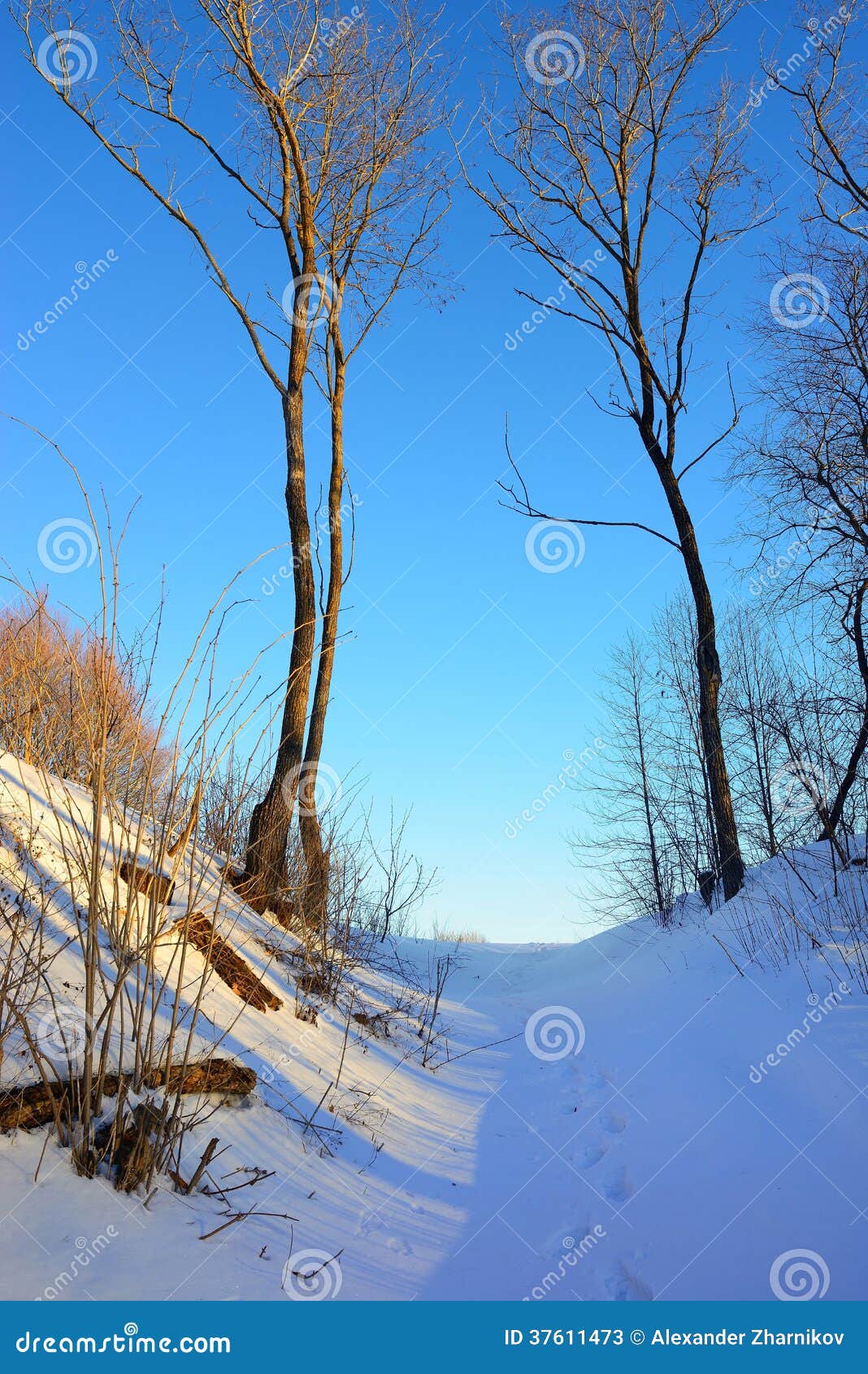 Winter view stock image. Image of landscape, colorful - 37611473