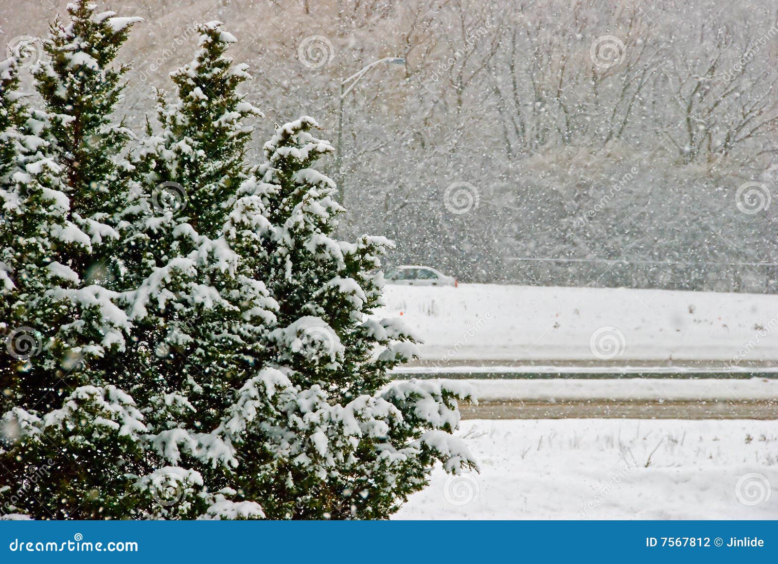 Winter view stock photo. Image of tall, winter, white - 7567812