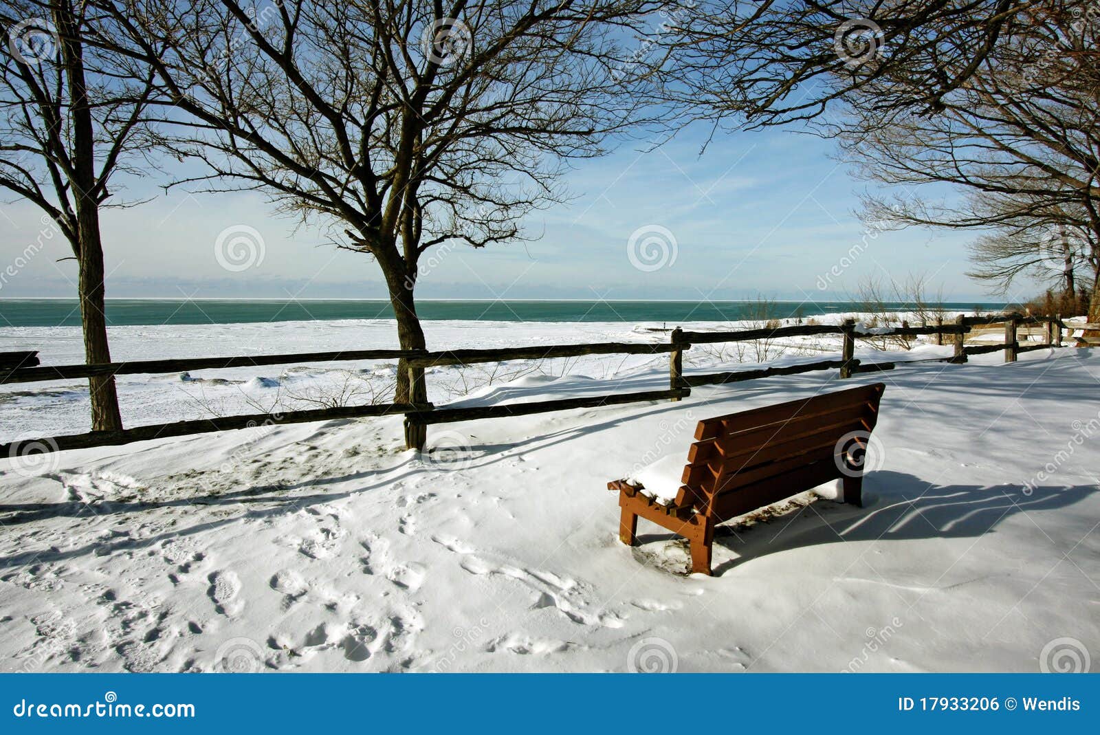 Winter view by the lake stock photo. Image of branch - 17933206