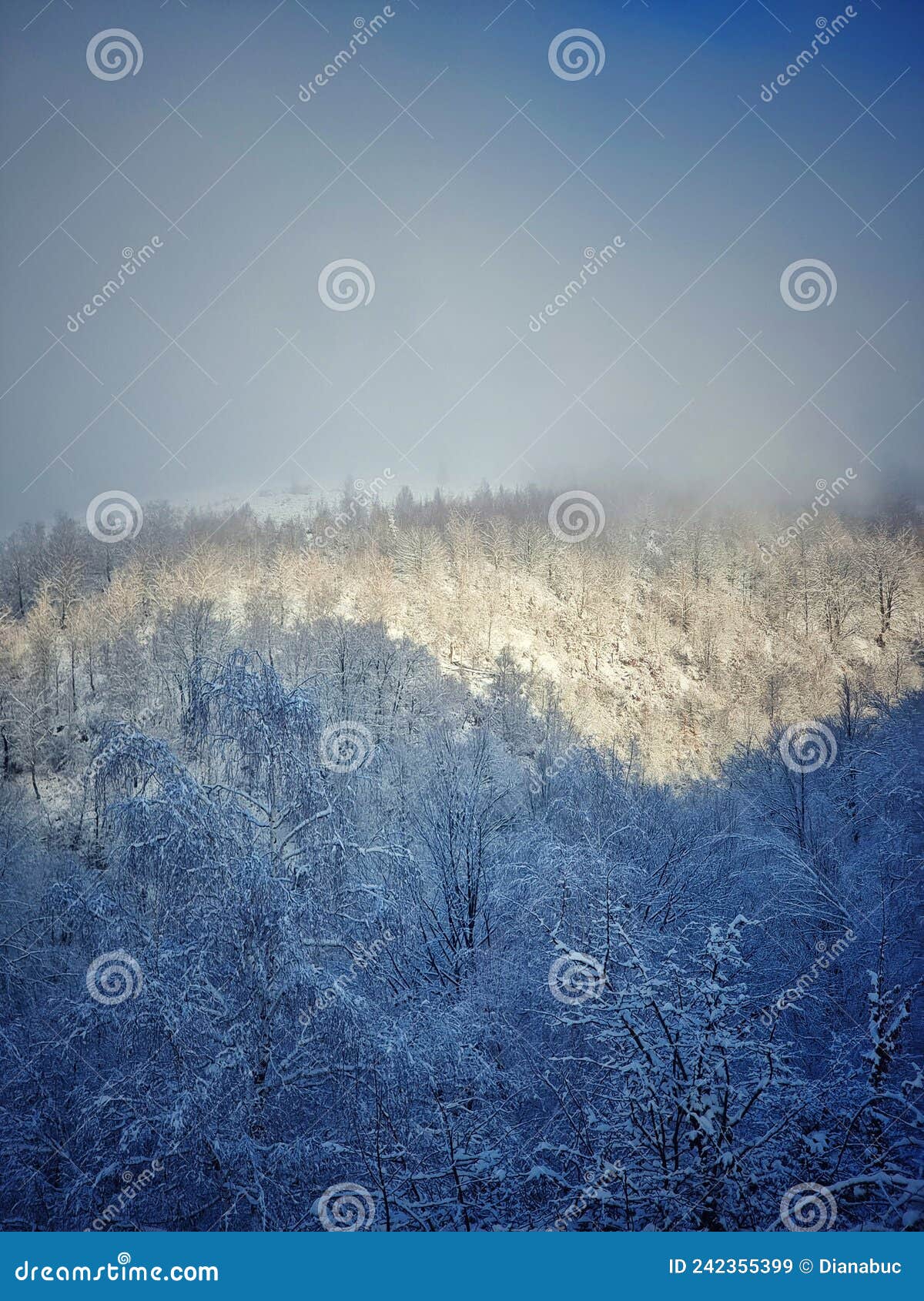 Winter view and nice snow stock image. Image of sunlight - 242355399