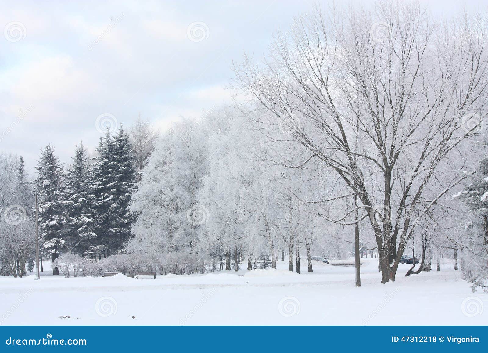 Winter view in the park stock photo. Image of scene, beautiful - 47312218
