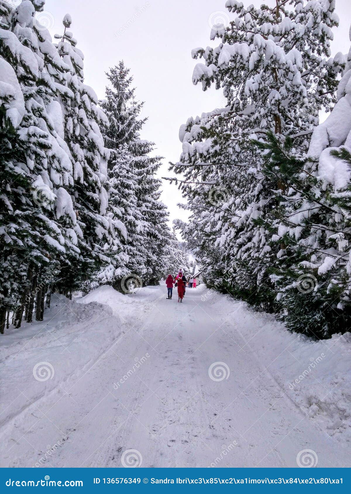 Winter view stock image. Image of view, snow, winter - 136576349