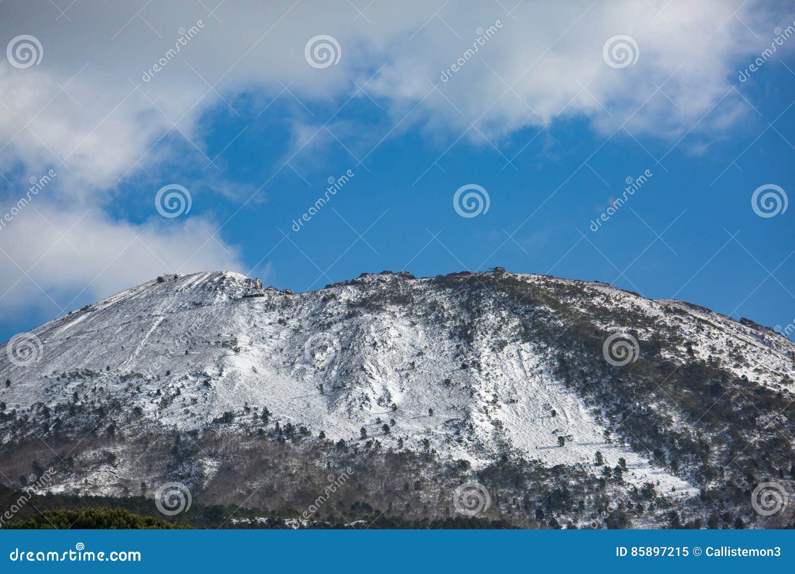 Winter View of Vesuvius Mount Stock Image - Image of panorama, pines ...