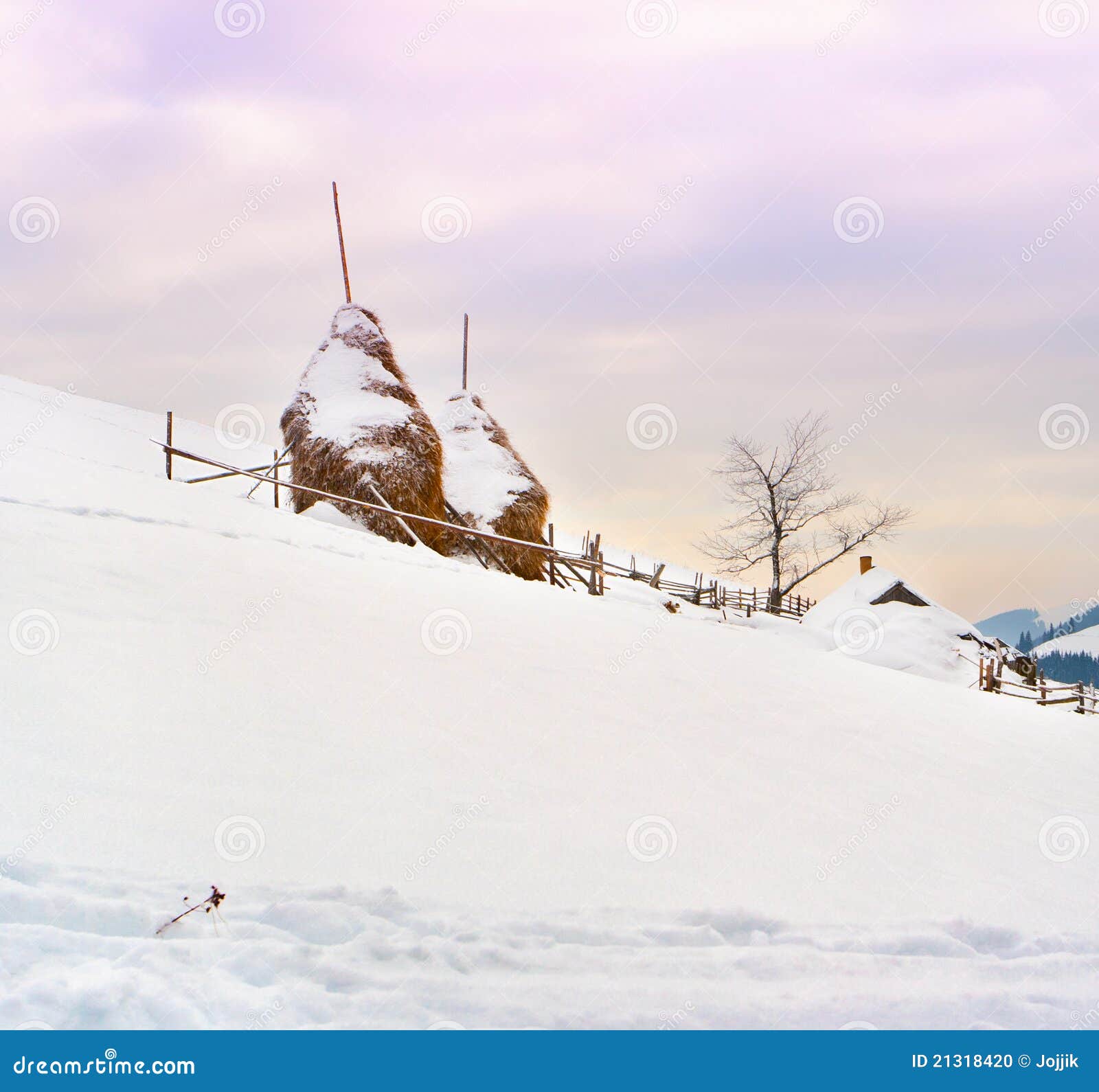 Winter in the village stock photo. Image of evening, color - 21318420