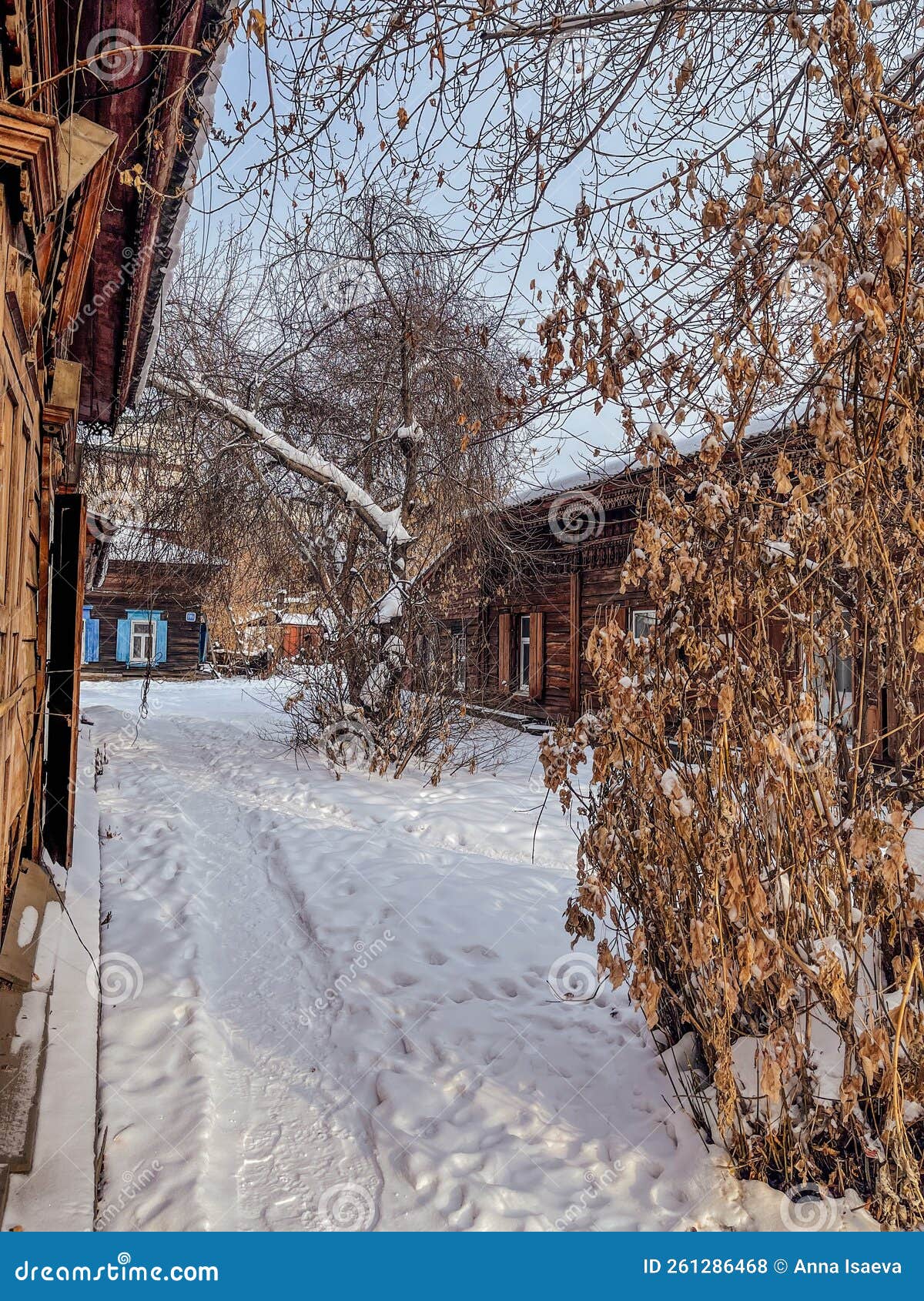 Winter in the village stock photo. Image of freezing - 261286468