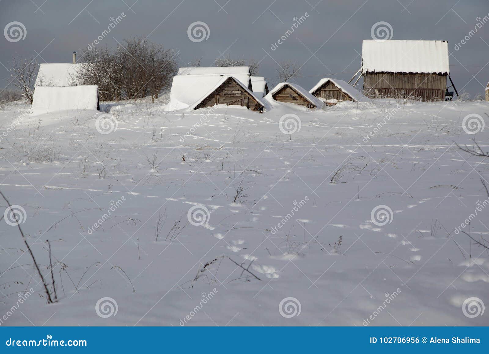 In the Winter in the Village Stock Photo - Image of bright, rustic ...