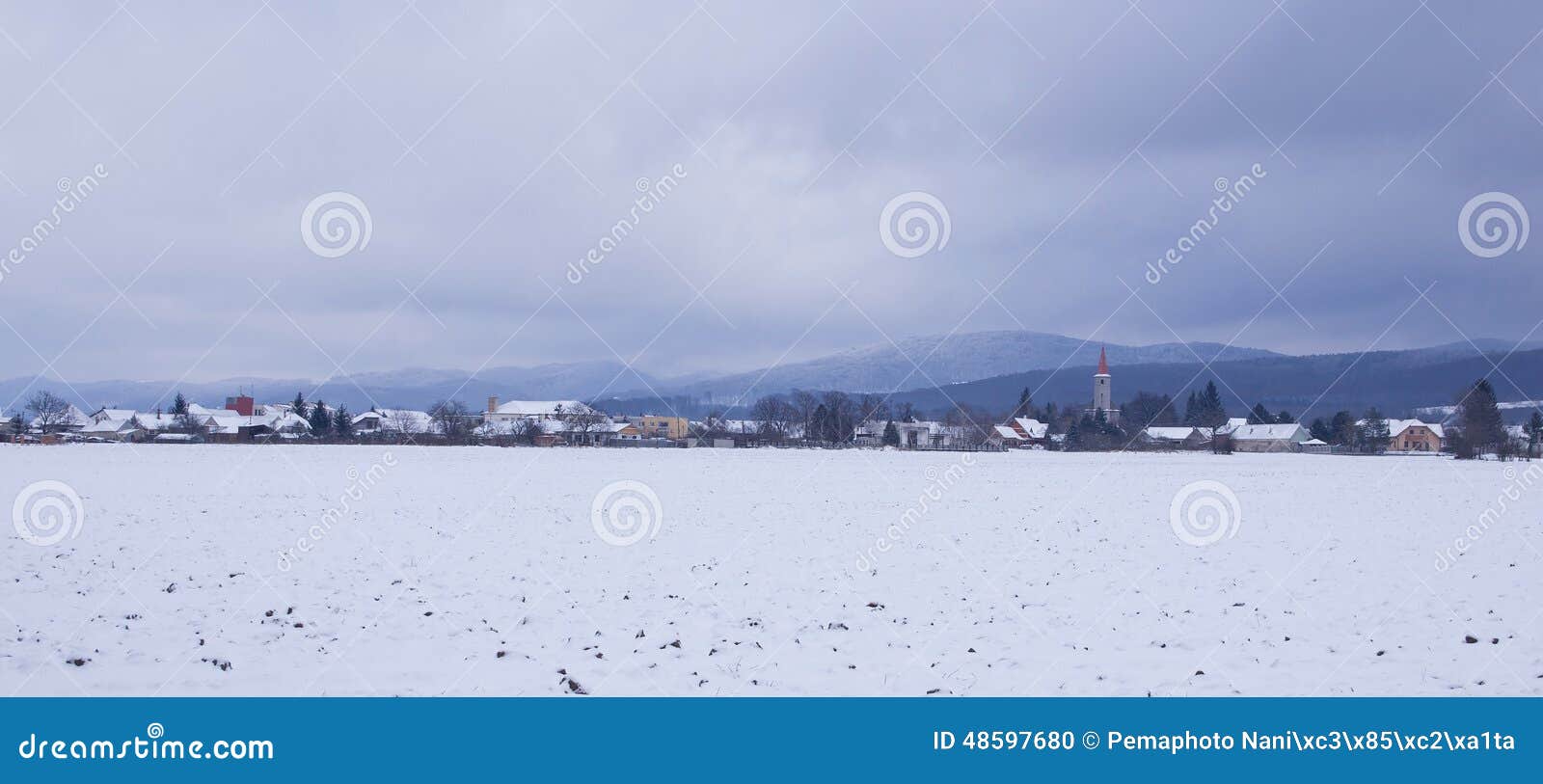 Winter Village Scene stock photo. Image of winter, field - 48597680
