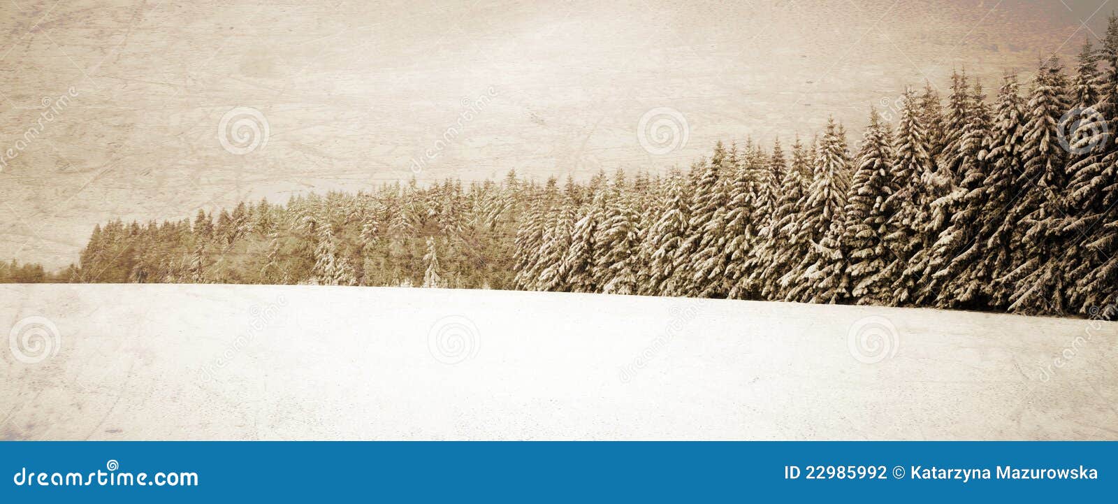 Winter vintage landscape stock photo. Image of countryside - 22985992