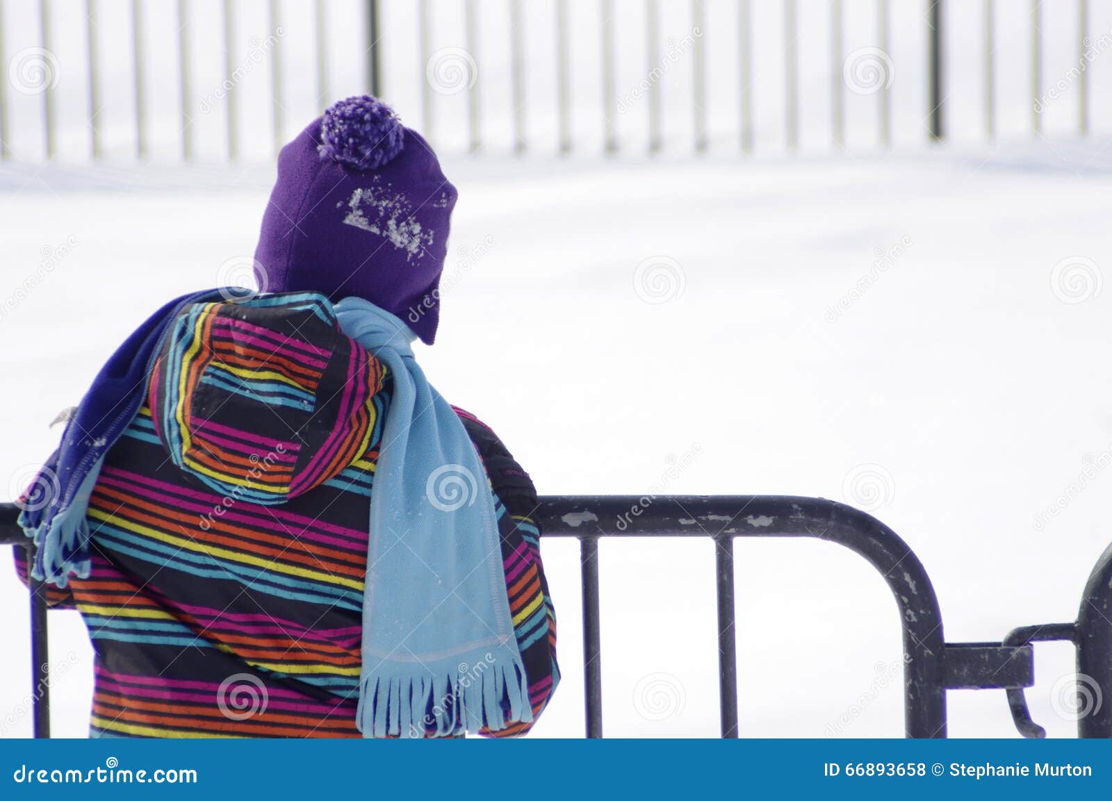 Winter Waiting stock photo. Image of barricade, cold - 66893658