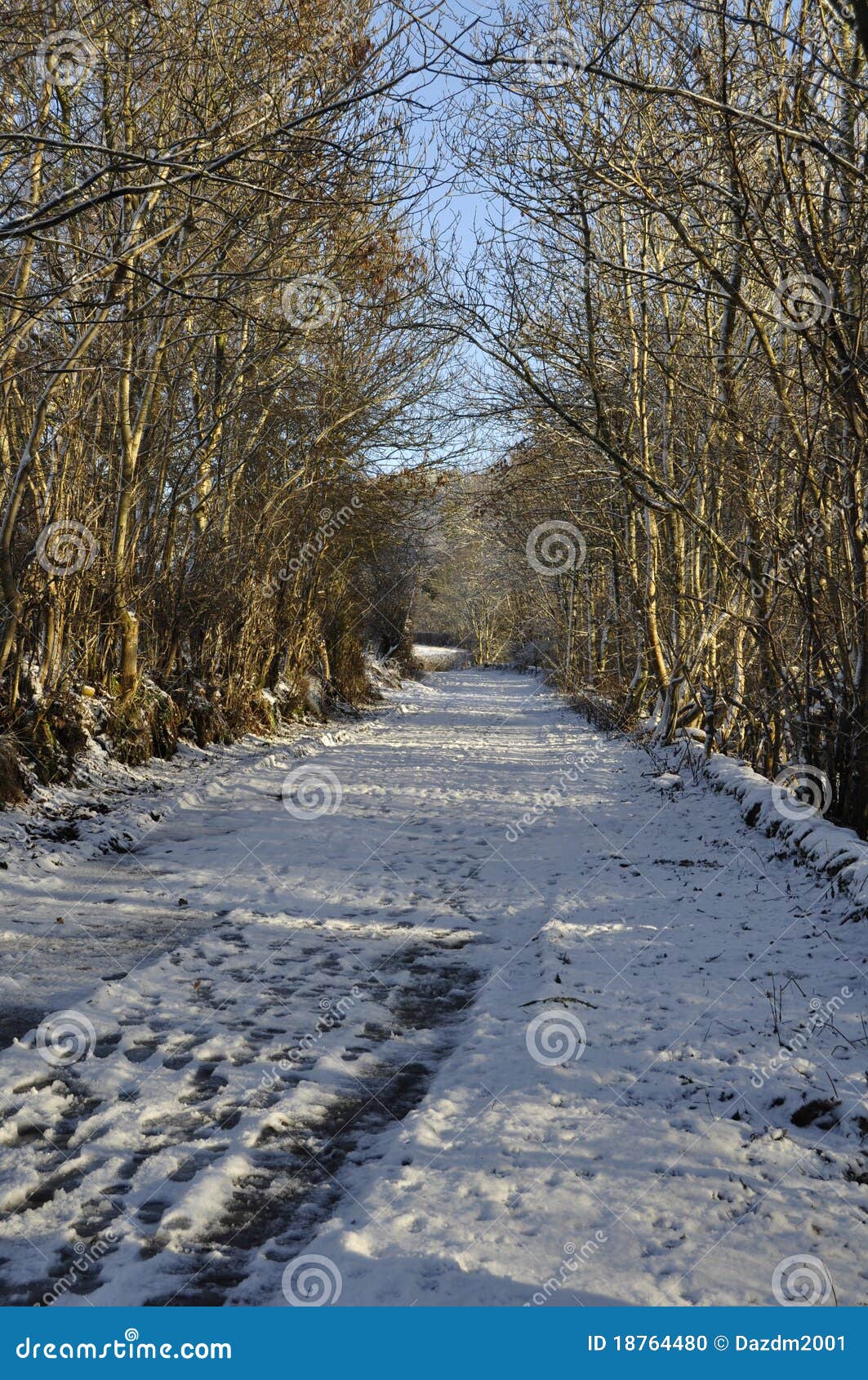 Skiing Borders Stock Photos - Free & Royalty-Free Stock Photos from ...