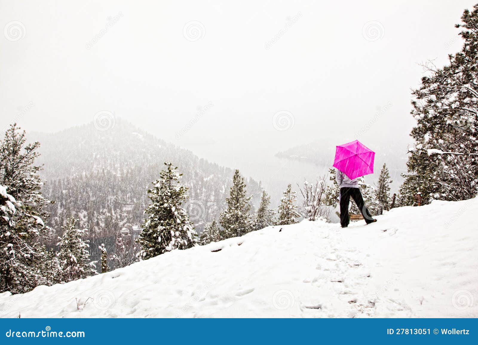 Winter walk stock image. Image of bright, cold, adult - 27813051