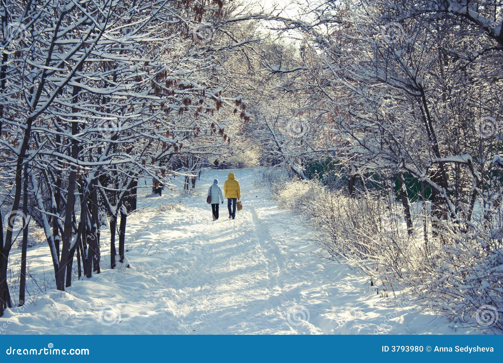 Winter walk stock photo. Image of frozen, winter, morning - 3793980