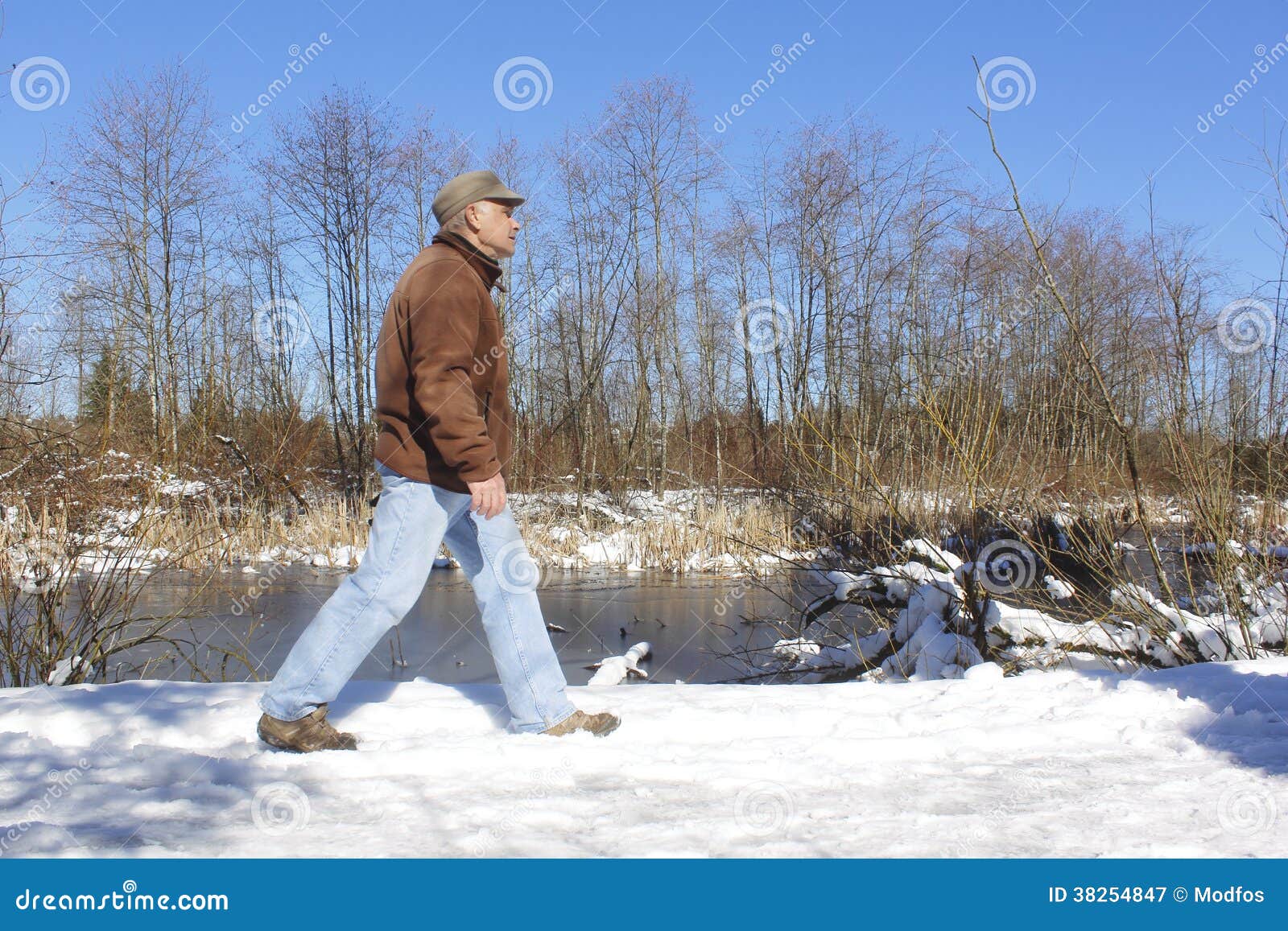 Winter Walk stock image. Image of profile, exterior, full - 38254847
