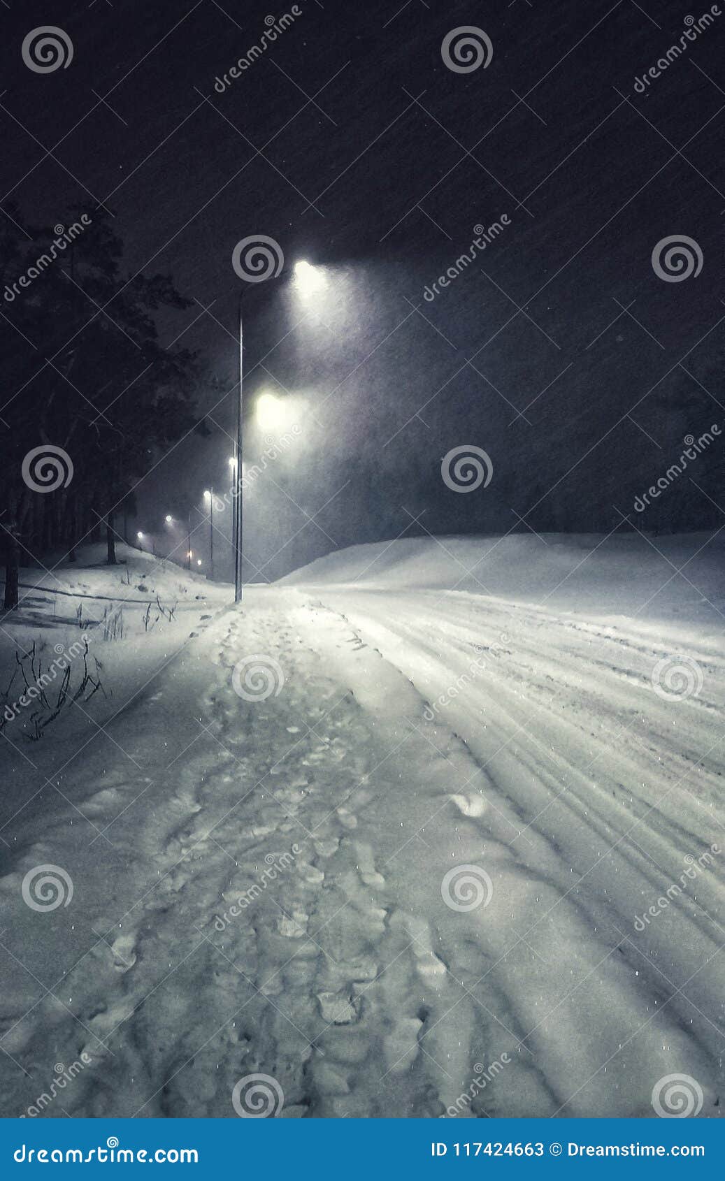 Winter walk stock image. Image of night, lights, winter - 117424663