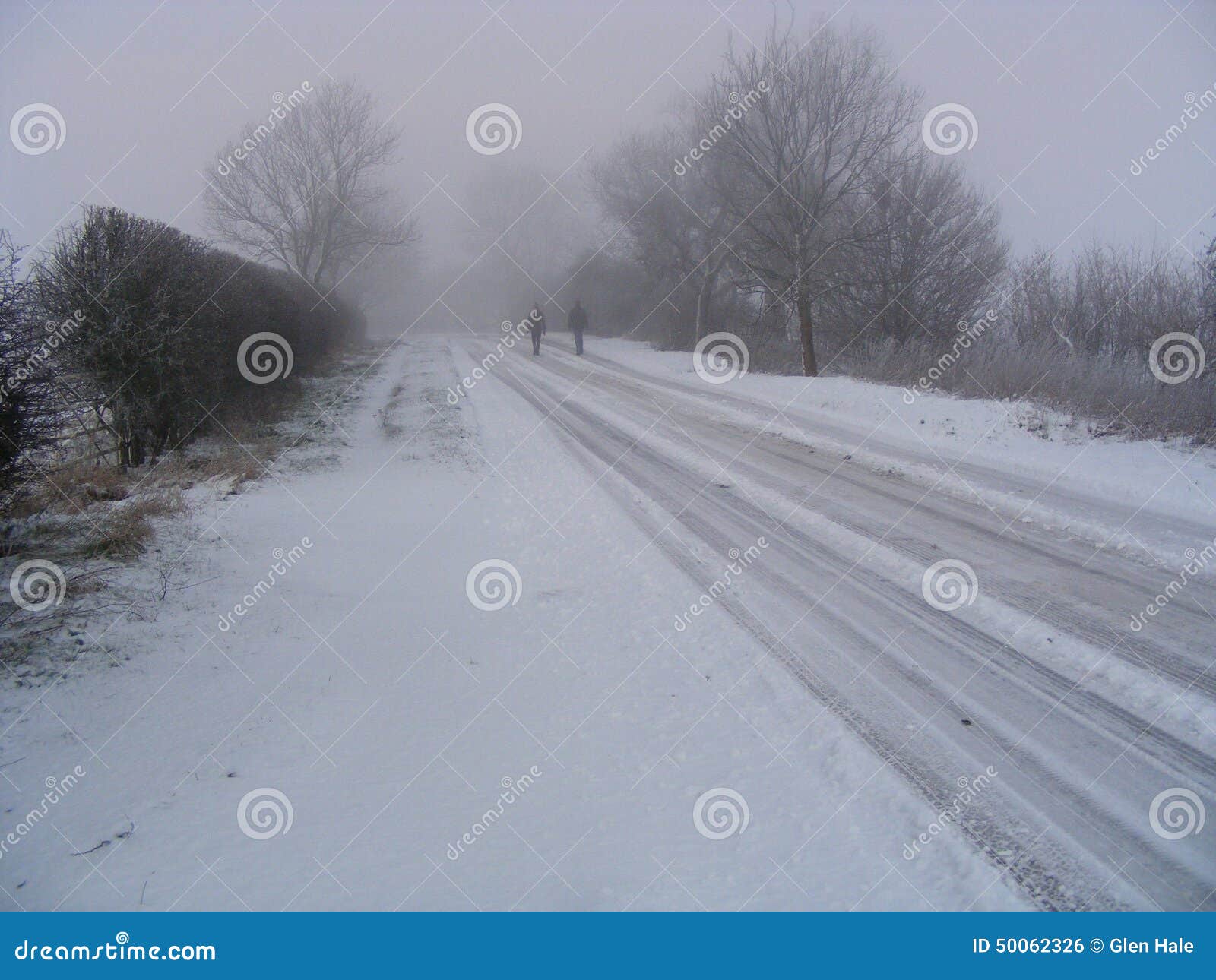 Winter walk. stock photo. Image of walk, winter, cold - 50062326