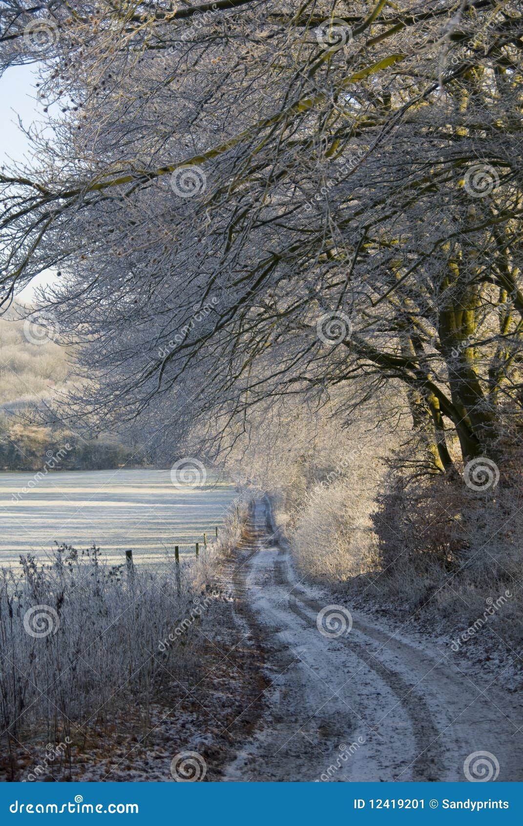 Winter Walks Down a Country Lane. Stock Image - Image of crisp, england ...