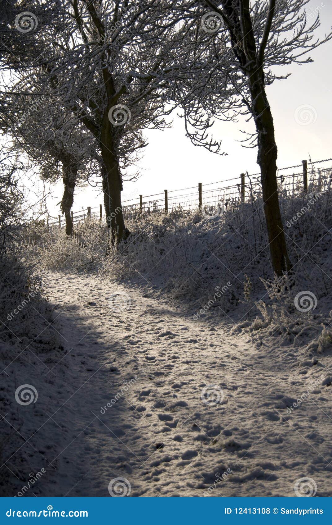 Winter Walks in Down a Snow Covered Lane. Stock Photo - Image of winter ...