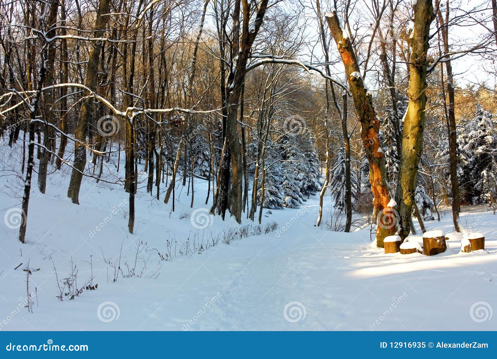 Winter walkway stock image. Image of hilly, view, white - 12916935