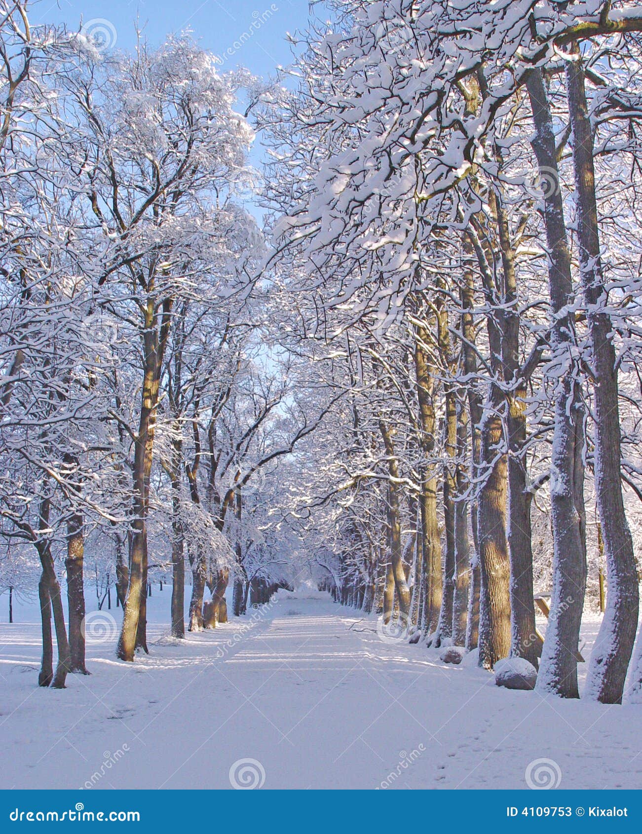 Winter Walkway stock image. Image of trail, white, frozen - 4109753