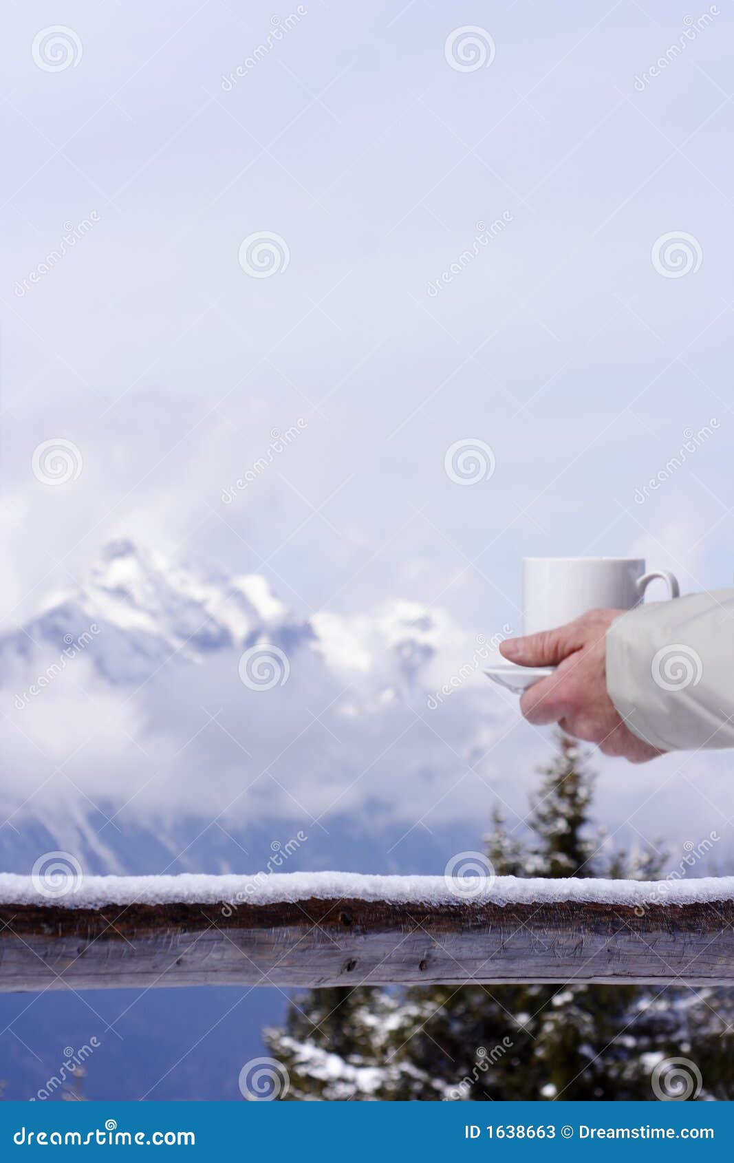Winter warmth stock image. Image of warm, season, forest - 1638663