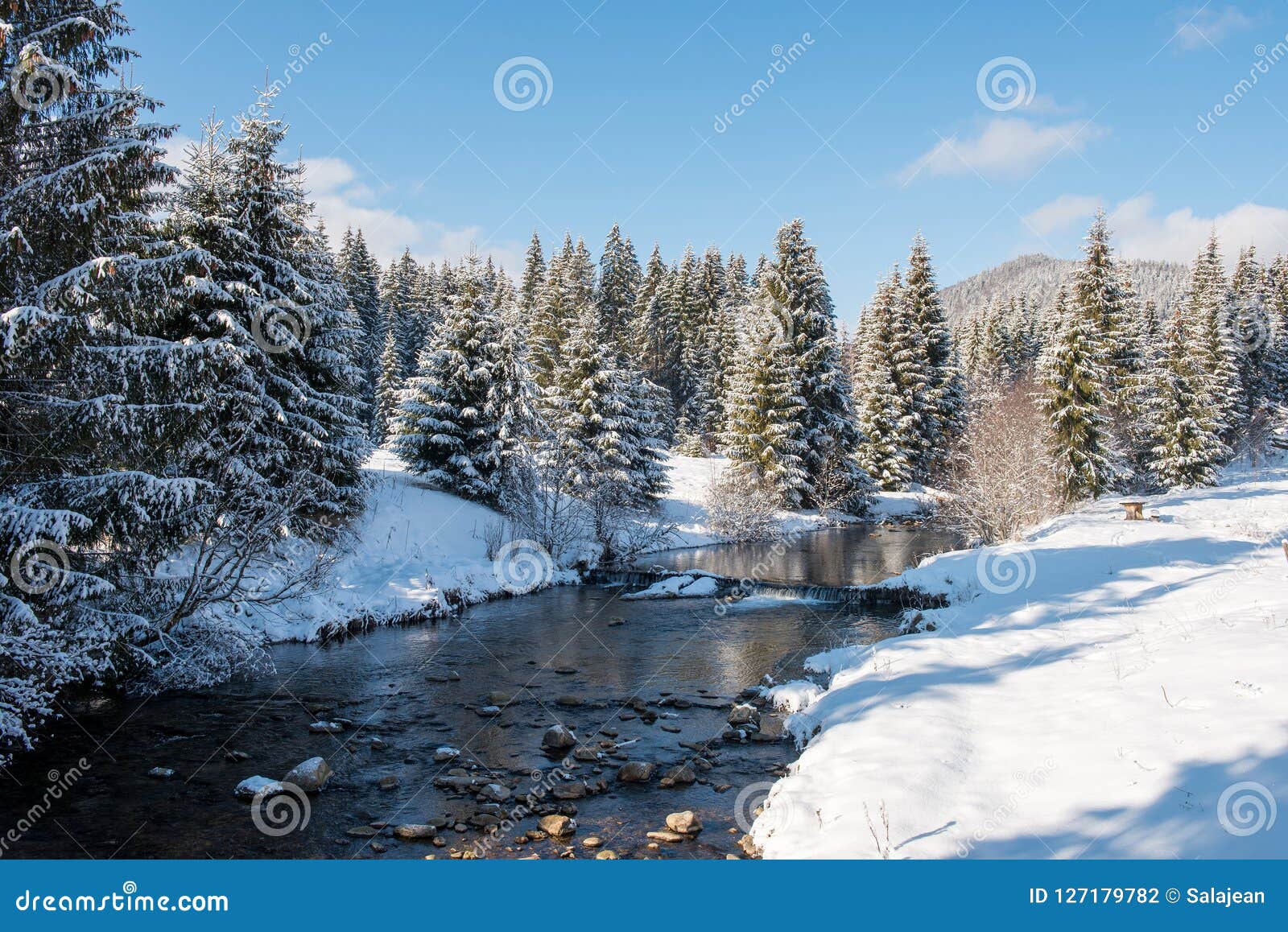 Winter Water Stream in the Forest Stock Photo - Image of river ...