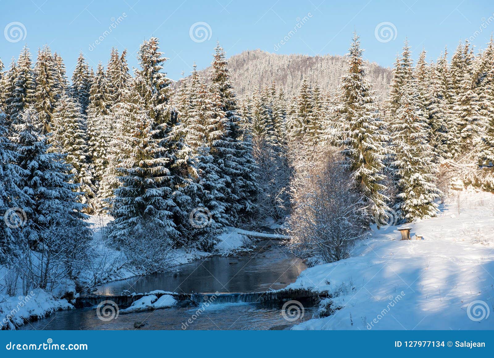 Winter Water Stream in the Forest Stock Photo - Image of outdoor ...