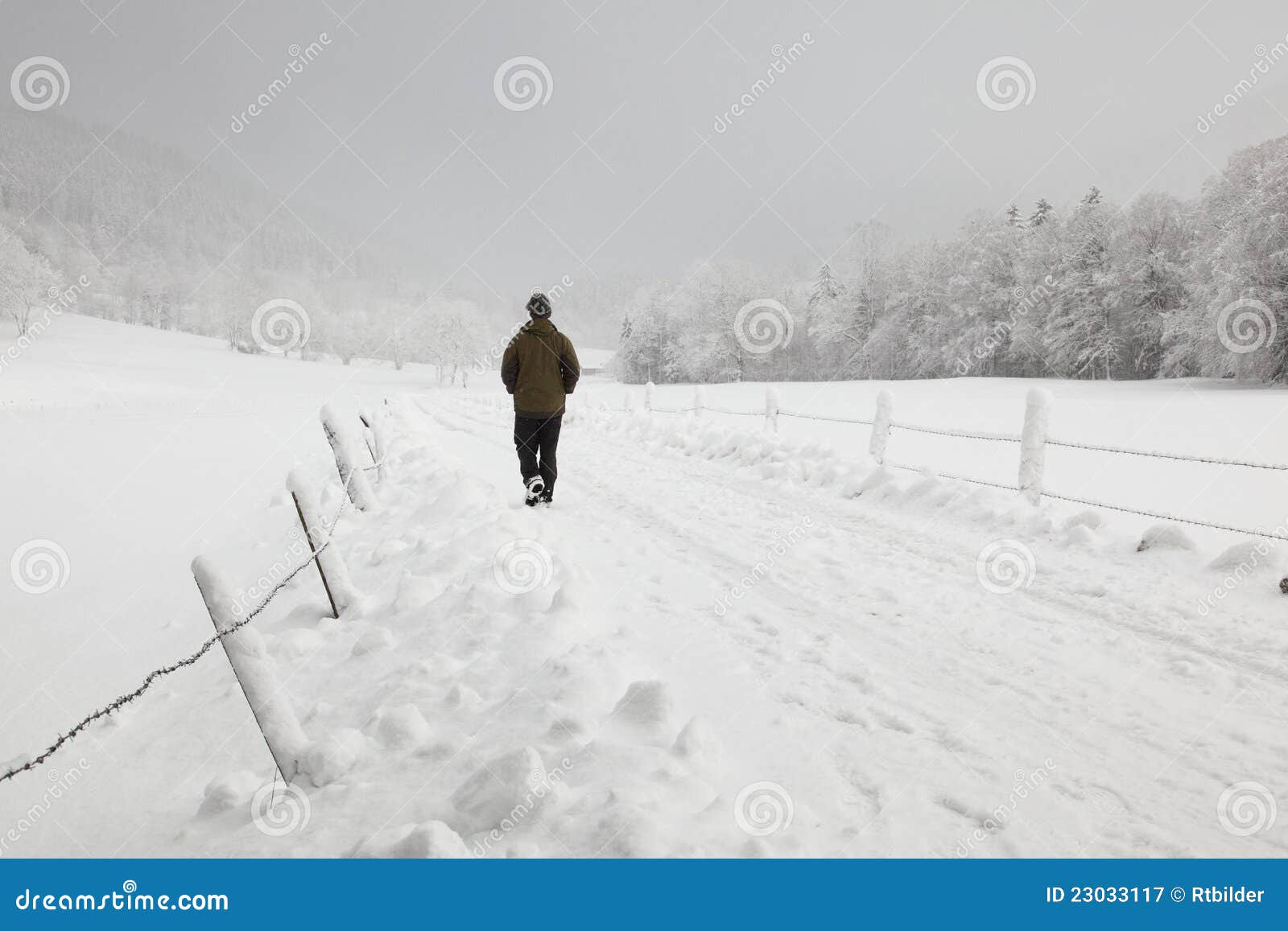 Winter way stock image. Image of christmas, hoarfrost - 23033117