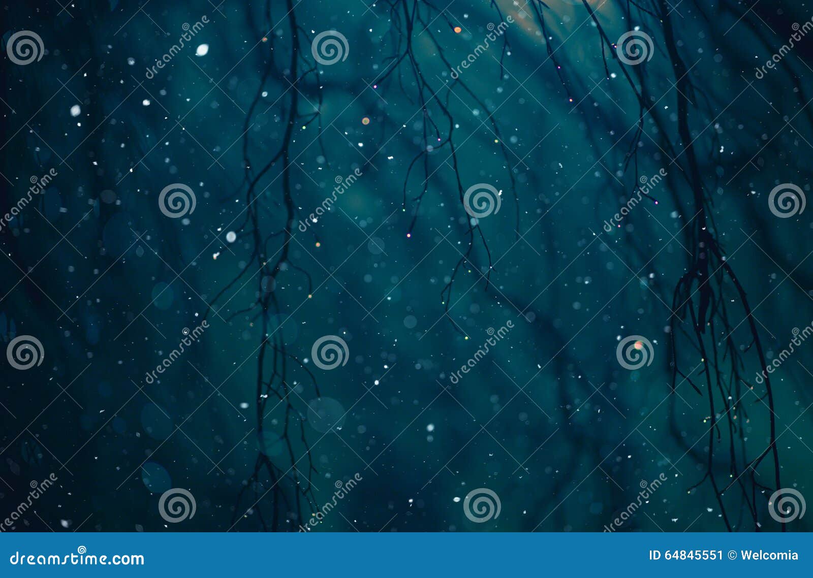 Winter Weather Night stock image. Image of darkness, rain - 64845551