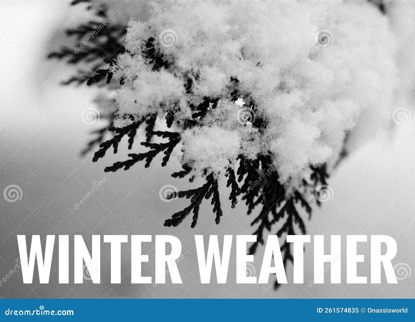 Winter 2022 Weather Snow Updates Page Header Background Stock Image ...