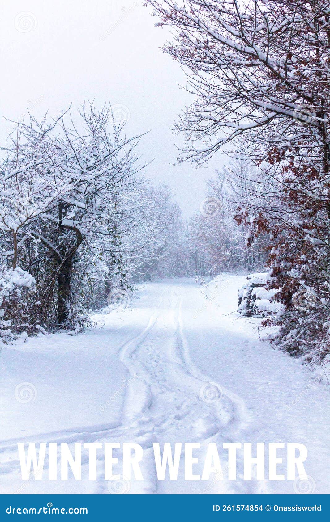 Winter 2022 Weather Snow Updates Page Header Background Stock Photo ...