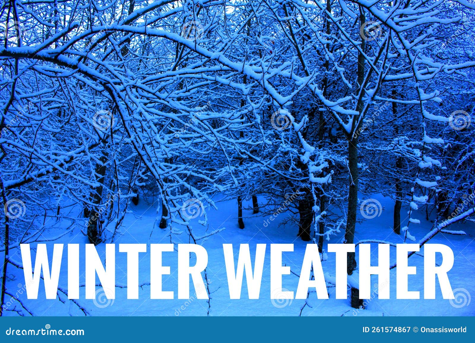 Winter 2022 Weather Snow Updates Page Header Background Stock Image ...