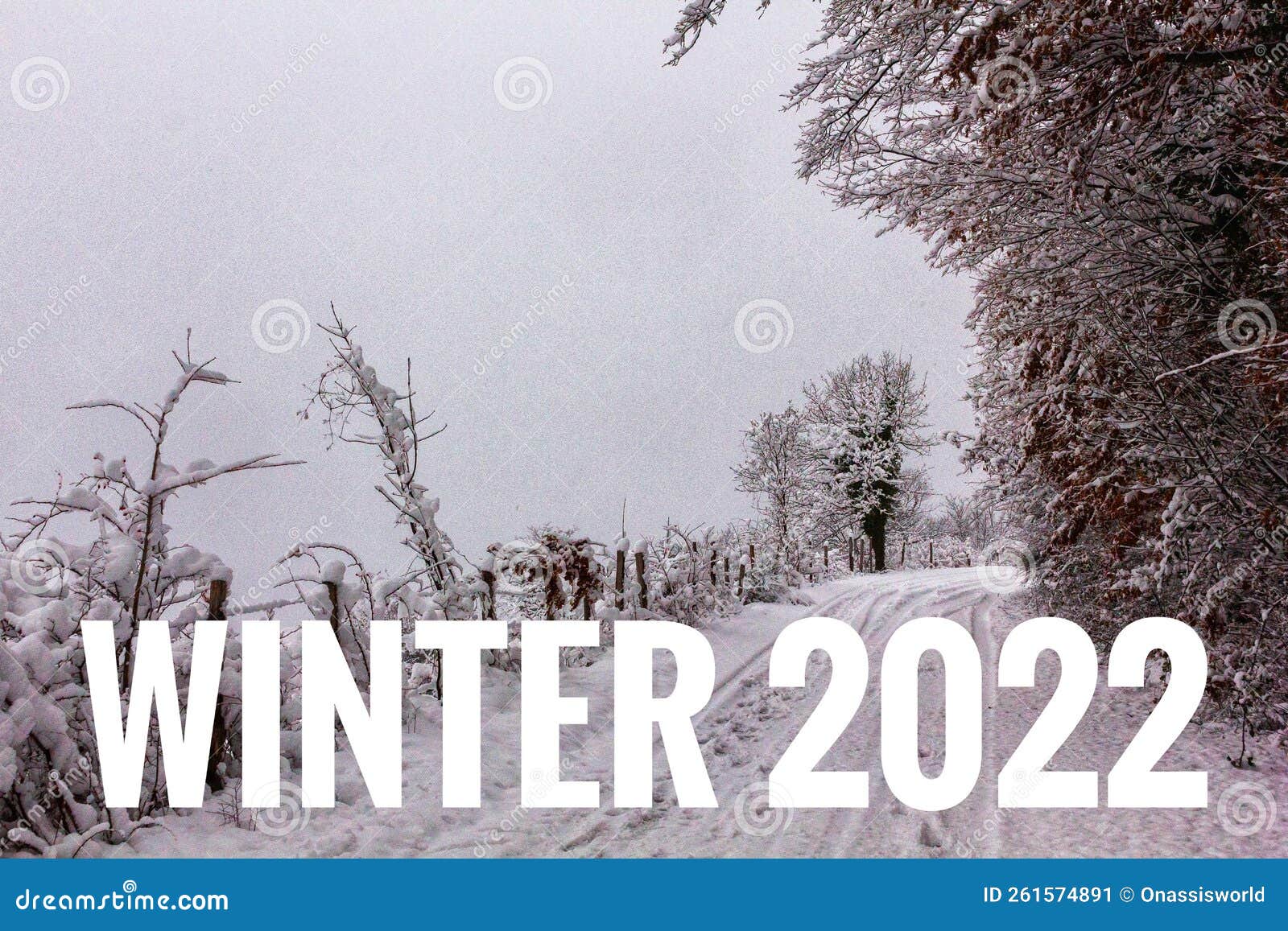 Winter 2022 Weather Snow Updates Page Header Background Stock Image ...
