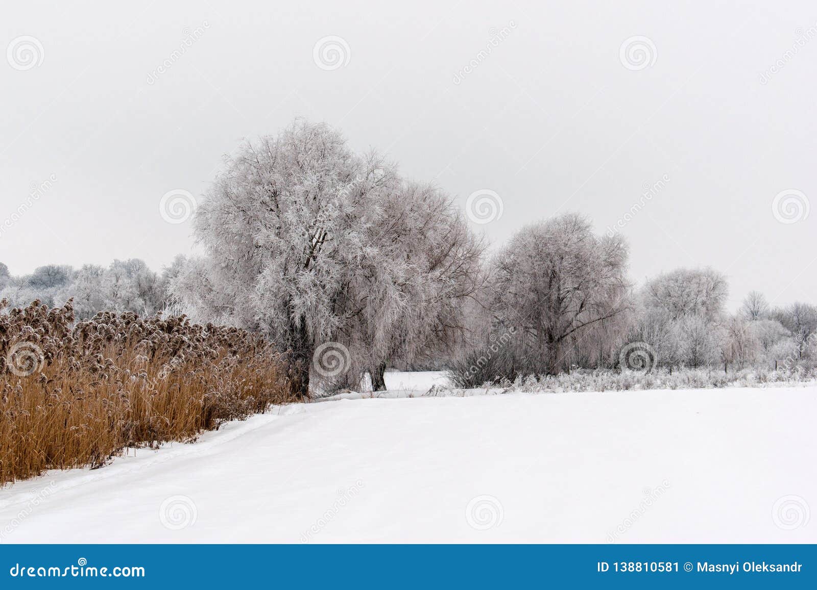 Winter Weather. White Snow Covered the Ground Stock Image - Image of ...