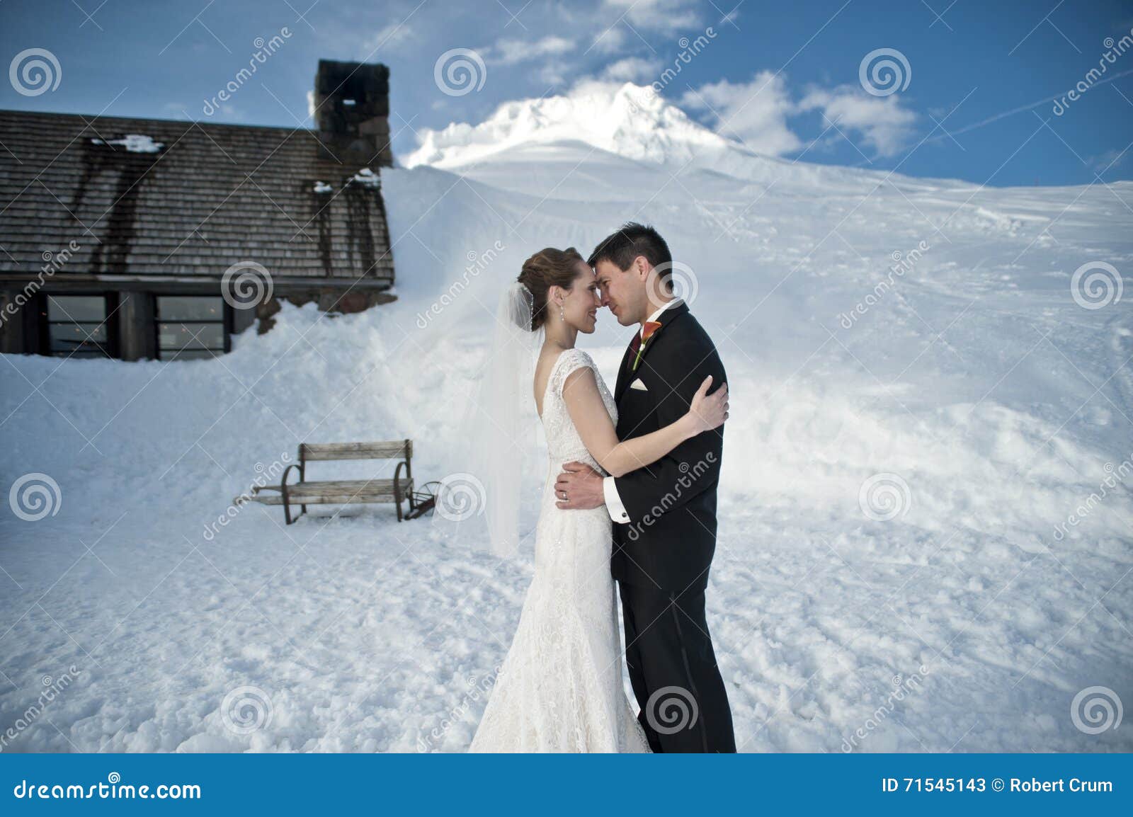 Winter wedding in the snow stock image. Image of female - 71545143