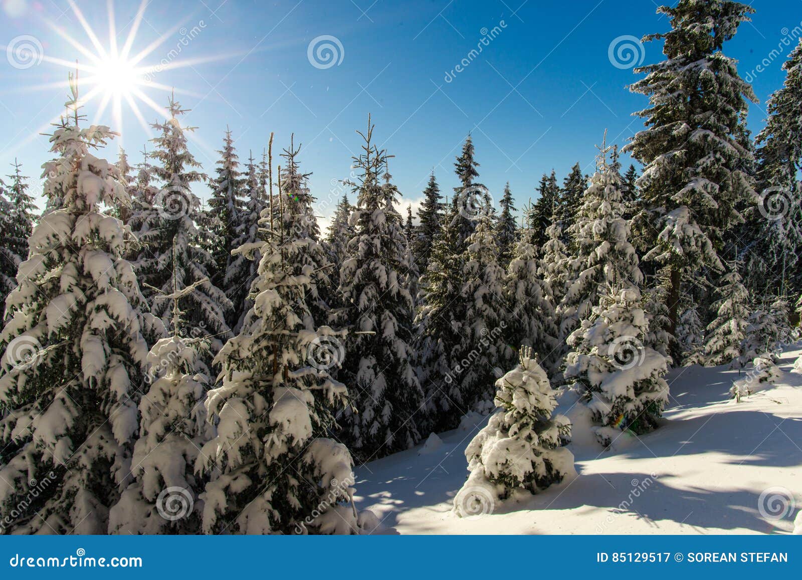 Winter in the mountains stock image. Image of outdoor - 85129517